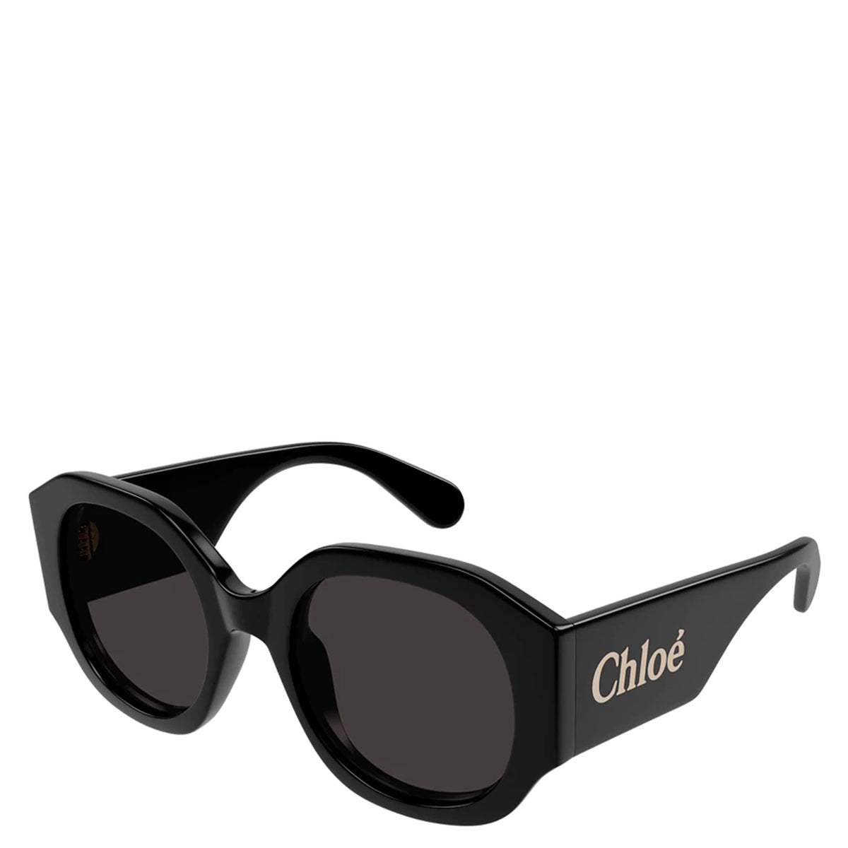 Chloe Sun CH0234SK OCTO Acetate Logo, Black – CULTSTATUS